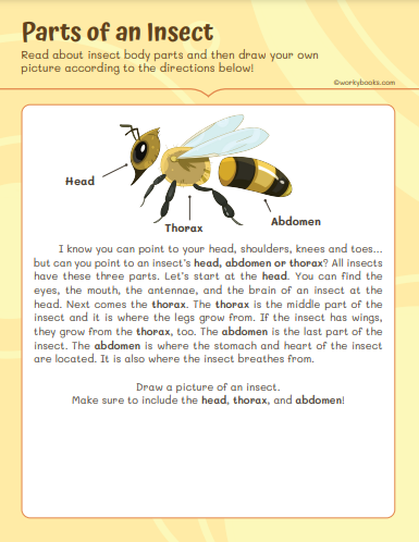 Earth Day Reading Passages by Workybooks | Workybooks